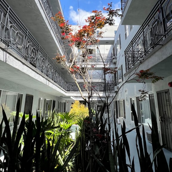 The Carlton | Apartments in Hollywood, CA