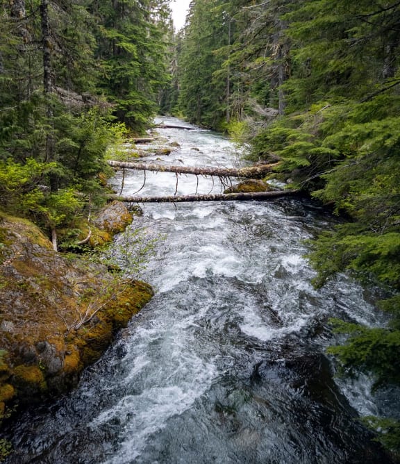 Watershed Renton | Apartments in Renton, WA