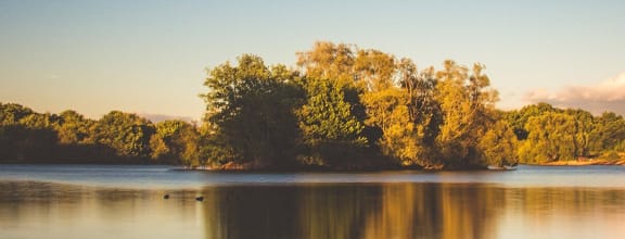 Timber Cove | Interactive Property Map