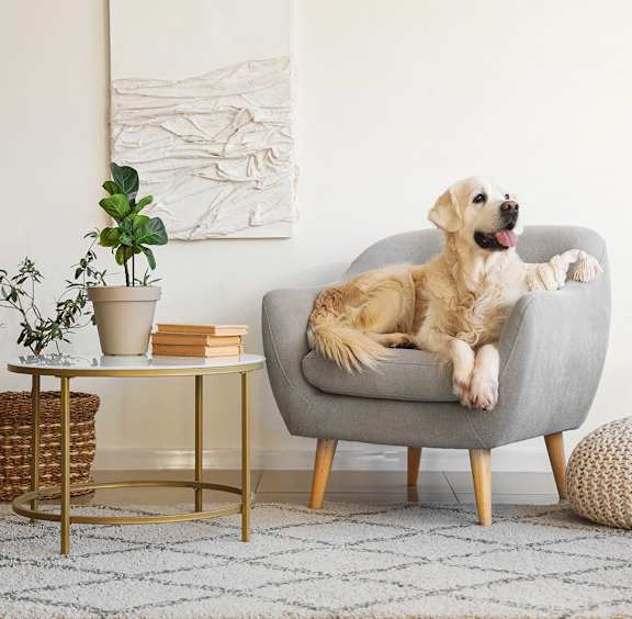 567 Warsaw Ave: 2-Bedroom Apartment, In-Suite Laundry, Pet-Friendly