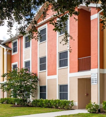 Regency Palms | Apartments in Port Richey, FL