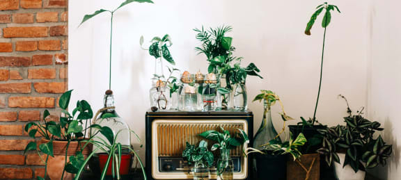 Jaide Lofts | Apartments in Los Angeles, CA