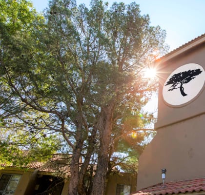 Apartments in Southeast Albuquerque, NM | Cinnamon Tree