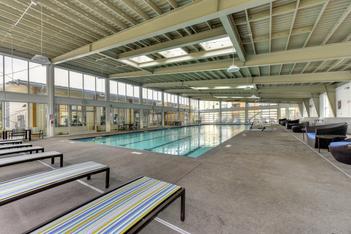 Photos and Video of Madison Bellevue Apartments in Bellevue, WA