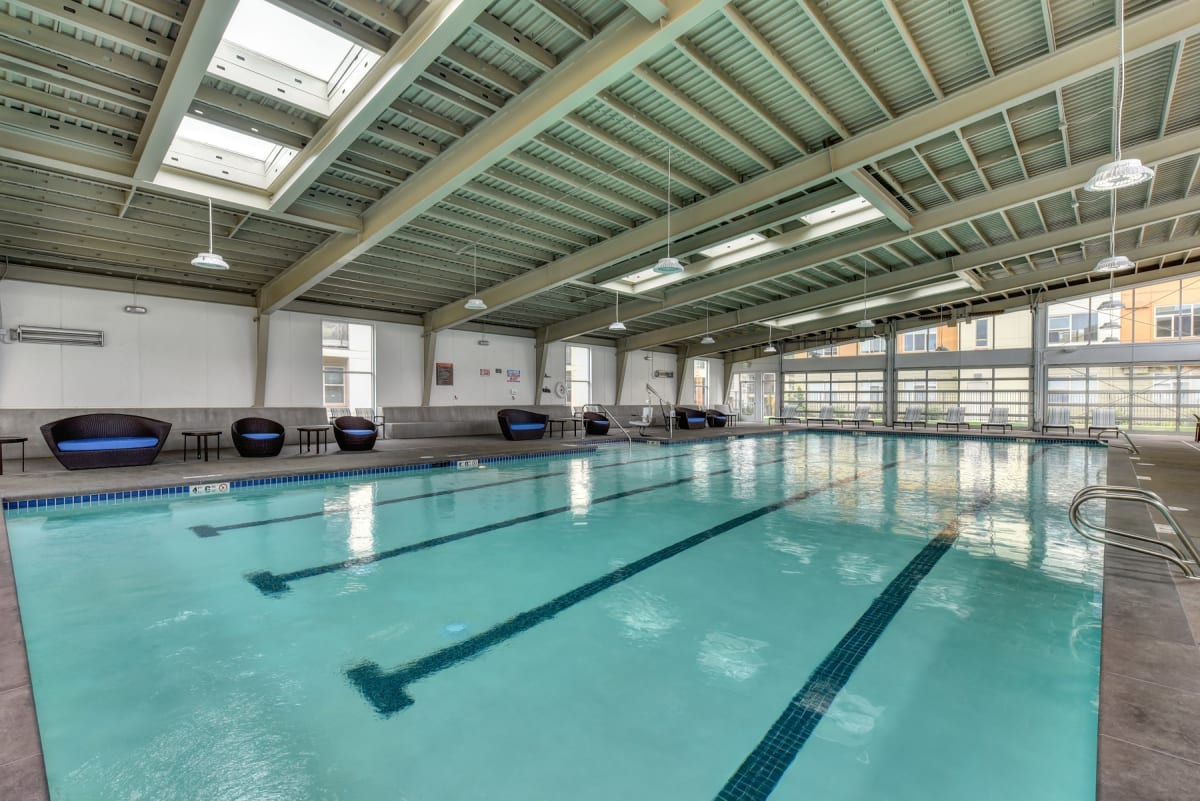 Photos and Video of Madison Bellevue Apartments in Bellevue, WA