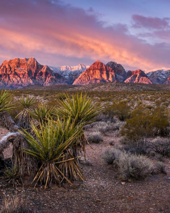 Apartments on Longmore, Mesa, AZ | Del Coronado