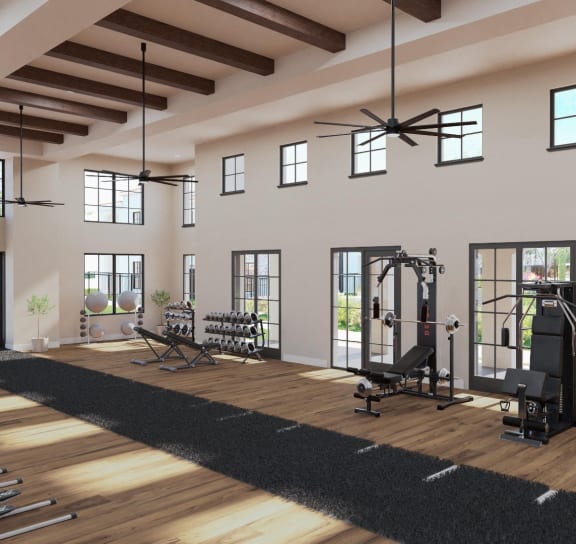 Apartments in San Tan Valley | Stella