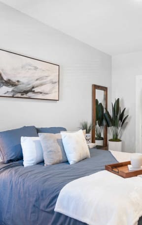 Paragon Luxury Apartments | Apartments in Athens, GA