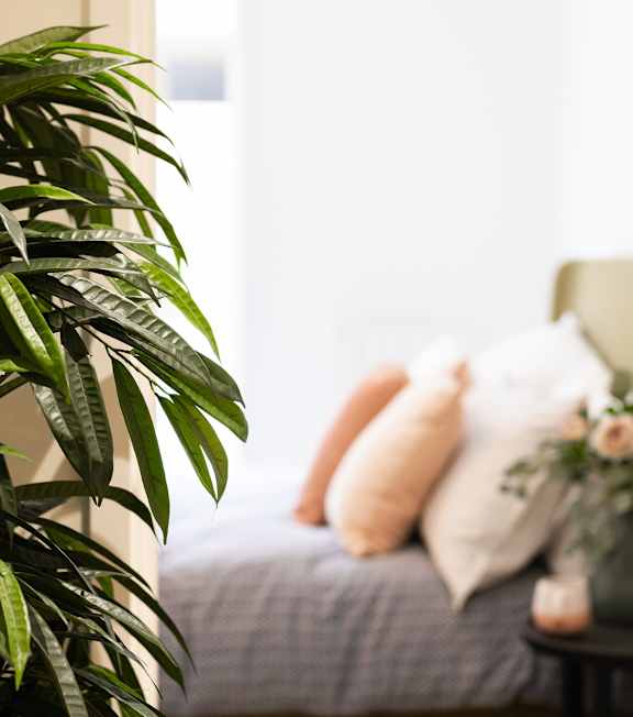 Apartments to Rent in Chatham | The Quarters