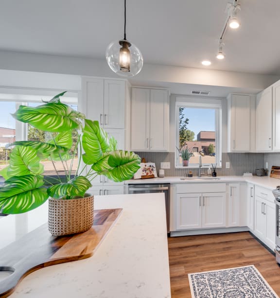 Luxury Apartments for Rent near Shoreview | Emrik SV