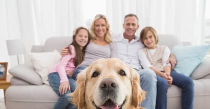 Apartments in Conway, SC | Aviary Village