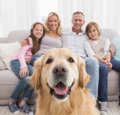 Apartments in Conway, SC | Aviary Village