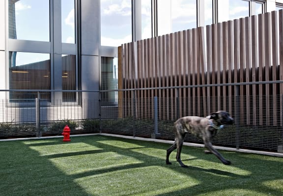 Flats 130 at Constitution Square | Apartments in Washington, DC