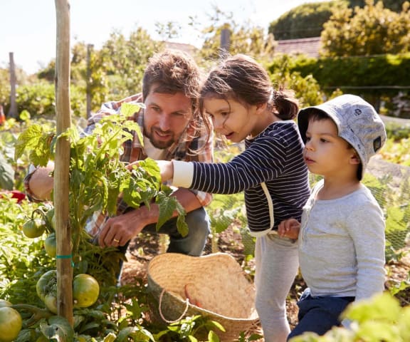 Hallmark | Multi-Family Housing | Owners | Managers | Developers