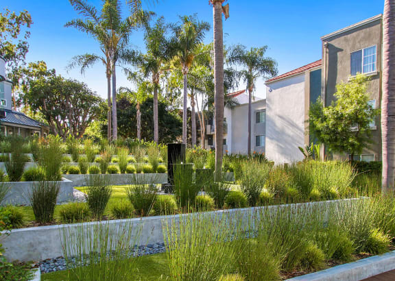 Playa Vista Los Angeles Apartments Playa Summit