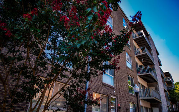 Photos and Video of Silver Spring House in Silver Spring, MD