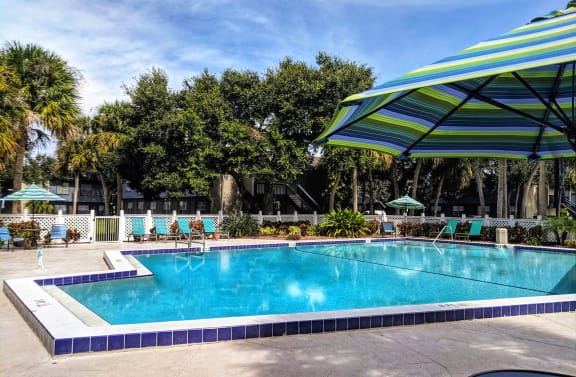 Photos and Video of Somerset Apartments in Largo, FL