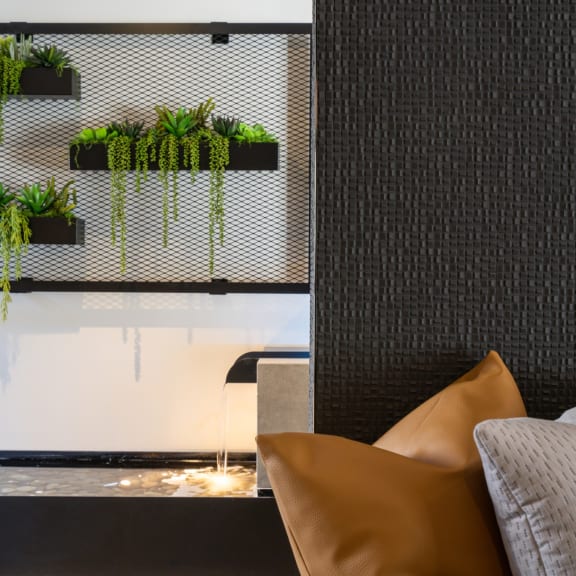 Mountain View Apartments | MV Apts | Home