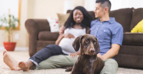 The Element at River Pointe | Apartments in Jacksonville, FL