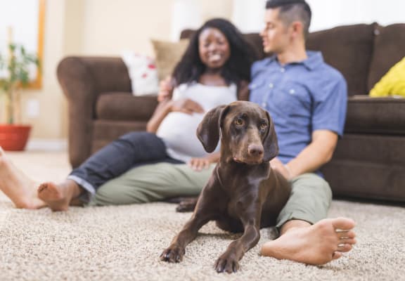 The Element at River Pointe | Apartments in Jacksonville, FL