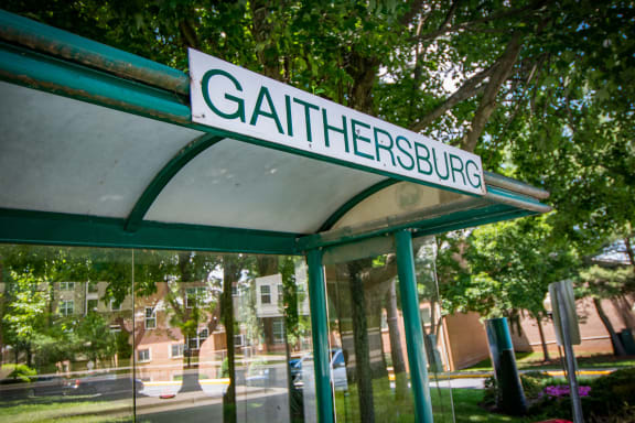 Spring Ridge Apartments | Apartment and Community Amenities