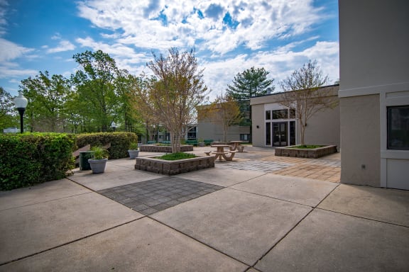 Ashley Apartments | Apartment and Community Amenities