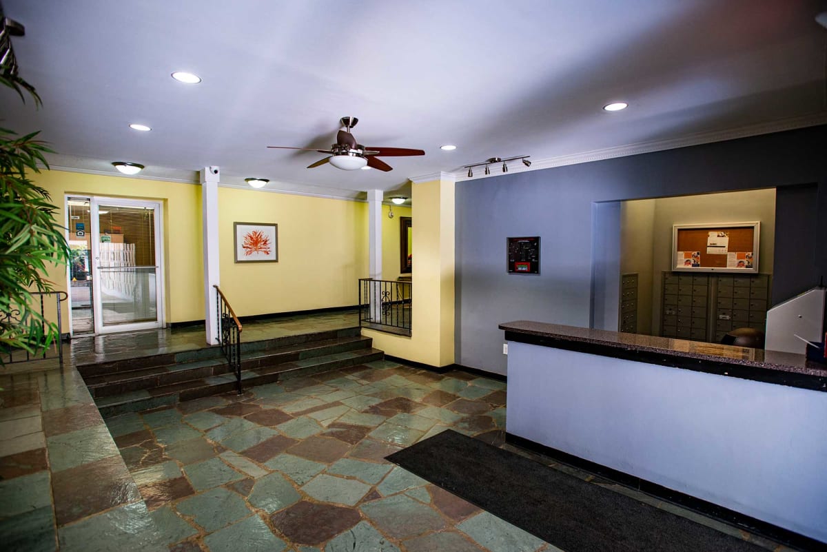 Photos and Video of Silver Spring House in Silver Spring, MD