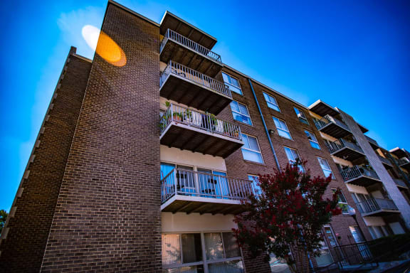 Photos and Video of Silver Spring House in Silver Spring, MD