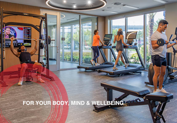 Daytona Beach Apartments | Icon One Daytona