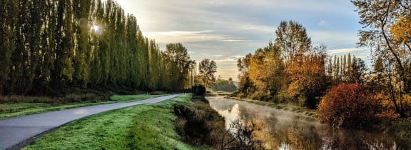 Floor Plans of Watershed Renton in Renton, WA