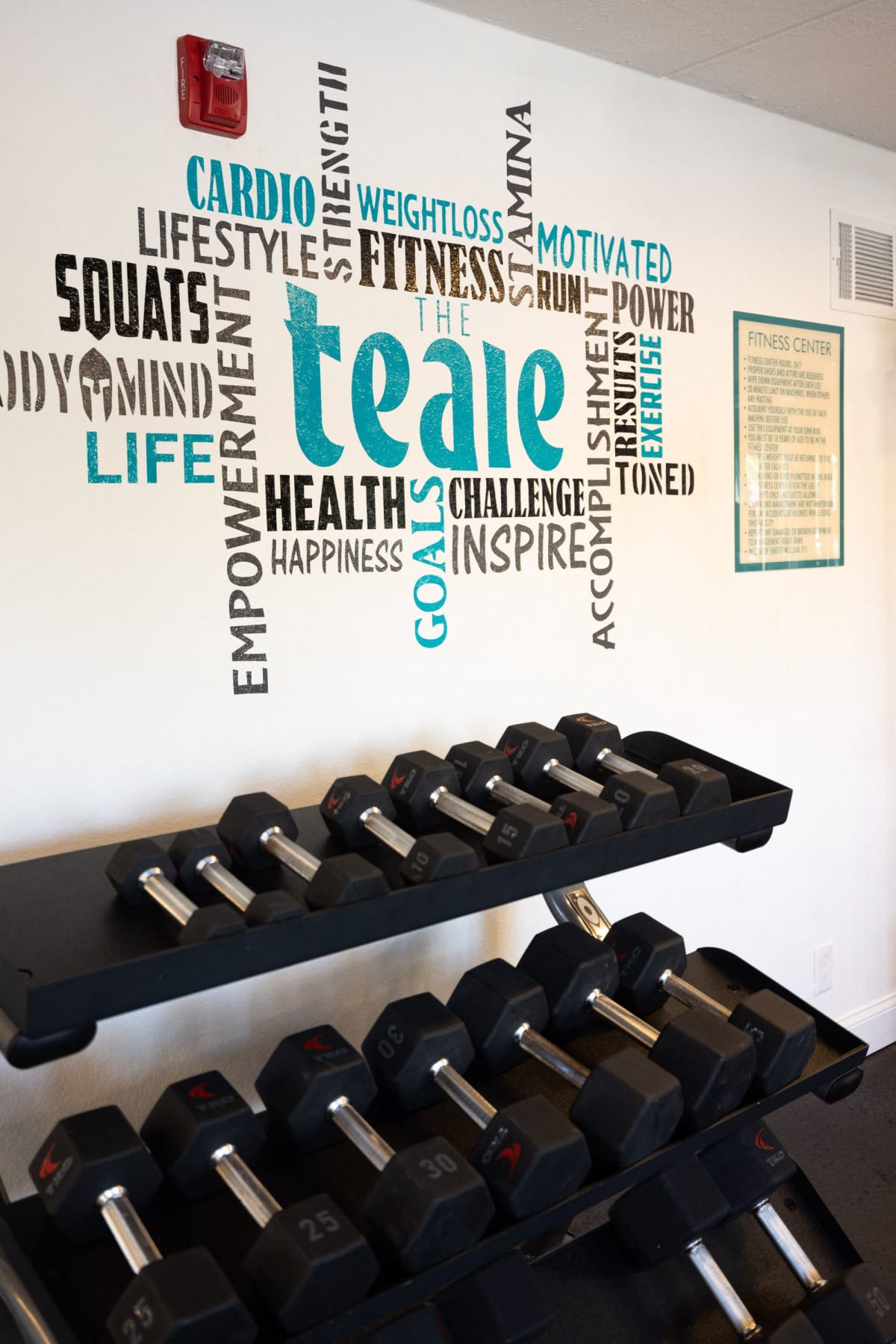 Apartments in Golden Gate, FL | The Teale Golden Gate