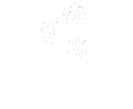 Allium Place | Apartments in Silver Spring, MD