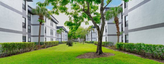 Apartments for Rent | Hollywood FL | Halcyon | Apartments in Hollywood