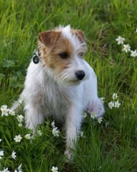 Hamilton Trace Apartments| Apartments in Okemos, MI