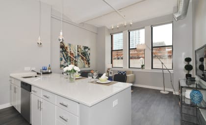 619 S. LaSalle St. | Apartments in Chicago, IL