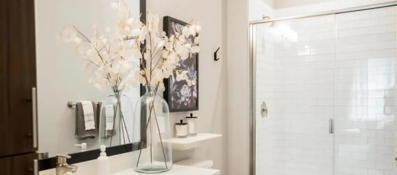 Luxury Apartments in Cary, NC | Alta Wren