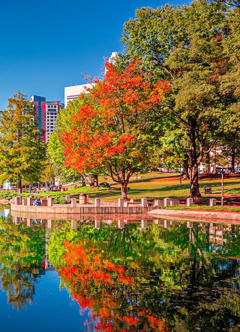 Greenwood Village | Apartments in Charlotte, NC