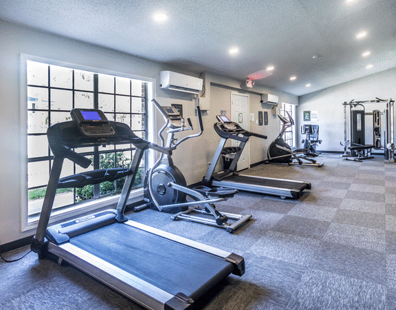 Fine Living at Our Memphis Apartments: Your New Home Awaits