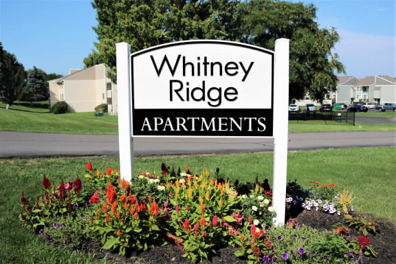 Whitney Ridge| Apartments in Fairport, NY