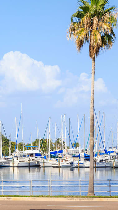 Clipper Cove | Apartments in Tampa, FL