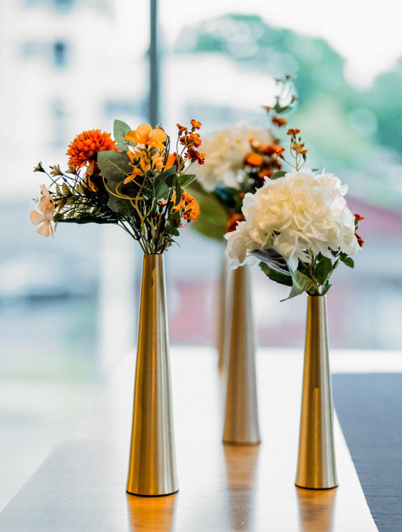 The Collective Upper West Side | Apartments in Atlanta
