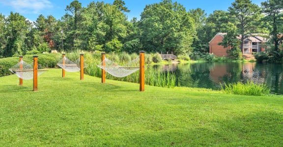 Turtle Lake Apartment Homes | Apartments in Birmingham, AL