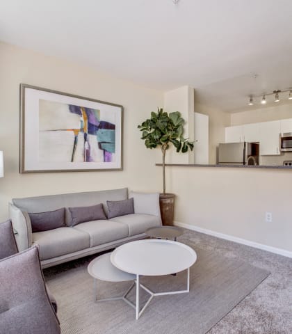 San Rafael, CA, Modern Apartments | Rafael Town Center