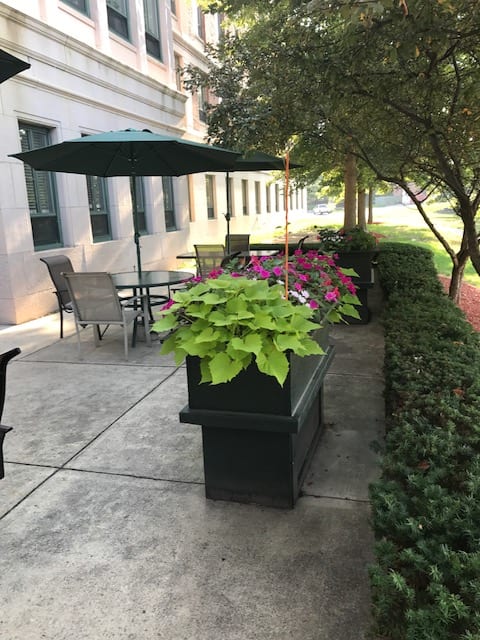 Foley Senior Residences | Apartments in Mattapan, MA