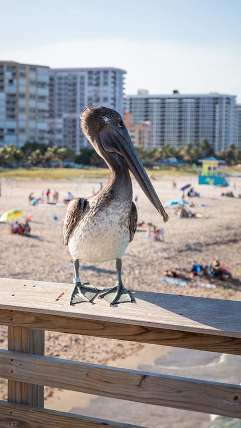 Eagle Pointe | Apartments in Pompano Beach, FL