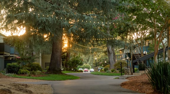 American River Commons | Apartments in Sacramento, CA