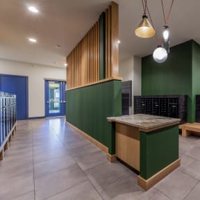 Downtown Dallas TX Apartments for Rent | 4600 Ross | Home