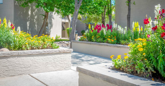 Apartments in Tucson | Rio Seco Apartments