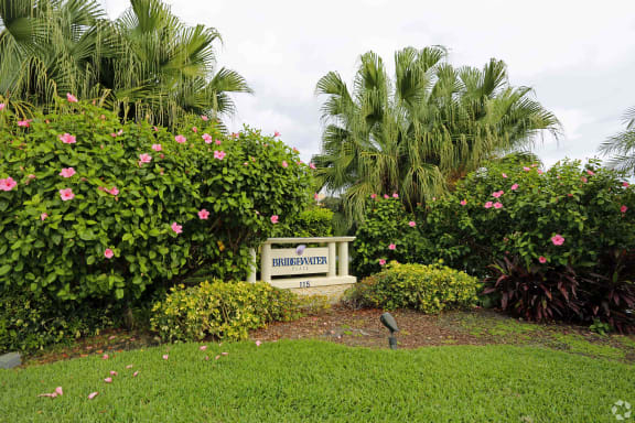 Apartments for Rent St Petersburg, FL | Bridgewater | Photos