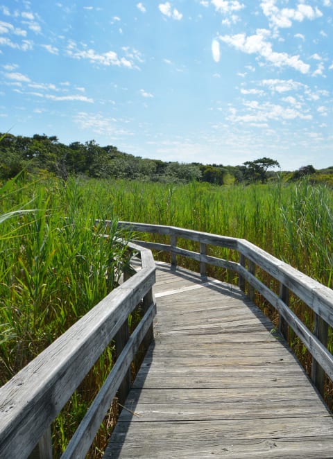 Apartments in Holbrook, NY | Brookwood at Holbrook